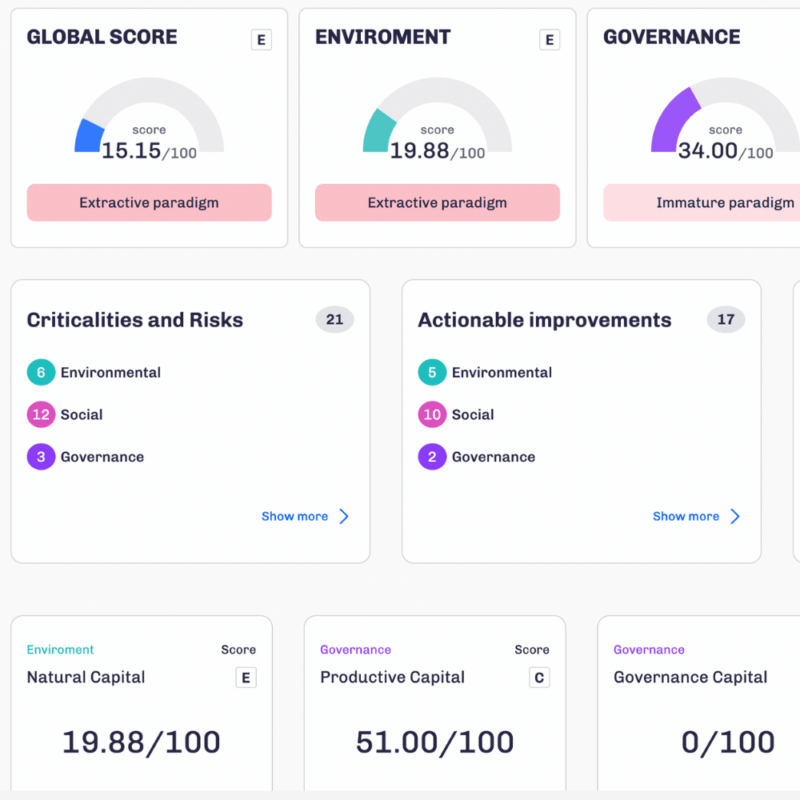 ESG Scoring: check out the new platform D / AI ESG